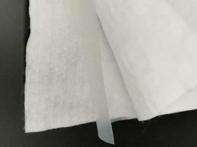 China 300g Composited Membrane Impermeable Geocomposite Geomembrane Long Lasting for sale