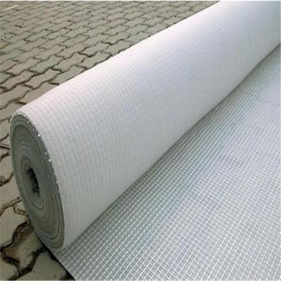 Cina PP PET tessuto Geotextile tessuto di stabilizzazione stradale 20-1000KN Alta resistenza in vendita