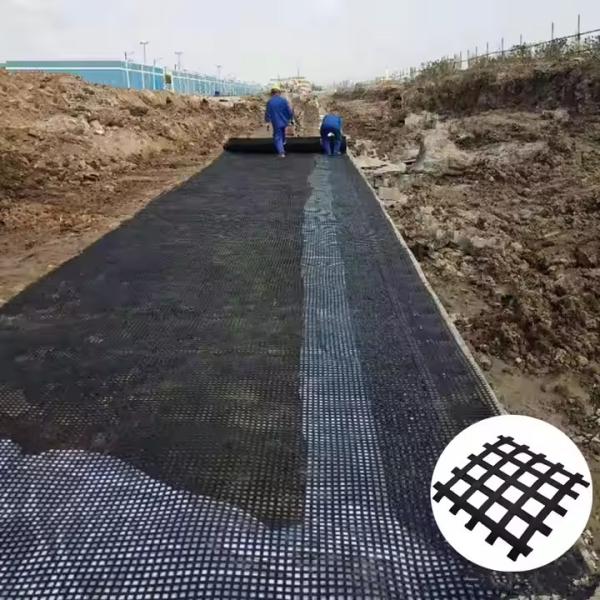 Quality UX BX Reinforce Polyester Mesh Geogrid Stabilizing Foundation Slope Road for sale