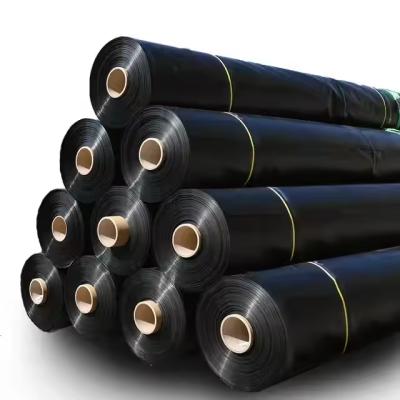 China Virgin New 0.75mm 30Mil Smooth Black Aquaculture HDPE Geomembrane Liner HDPE Plastic Film Roll Pond Tank Lining for sale