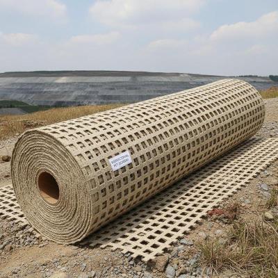 China Bidirectional Warp Knitted PET Polyester Geogrid For Landfill Side Slopes Reinforcement for sale