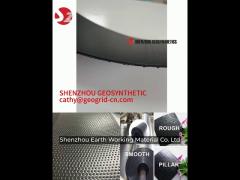 Thickness 2000 Microns Mining Industry HDPE Geomembrane Liner Waterproof Anti-Seepage Project