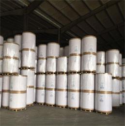 China C1S SBS Paper Board 250gsm-400gsm FBB Board One Side Coated White Cardboard for sale