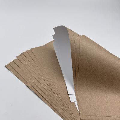 China Beschichtung Farbe Weiß Top Kraft Liner Papier Jumbo Roll mit PE Beschichtung Material erschwinglich zu verkaufen