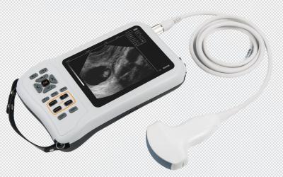 China 5.8 Inch Mobile Ultrasound Device Fetal Doppler Scanner FarmScan® L60 Human for sale