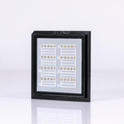 Cina Chip di diodi a singolo emettitore e barre nude da 638 nm a 1550 nm in vendita