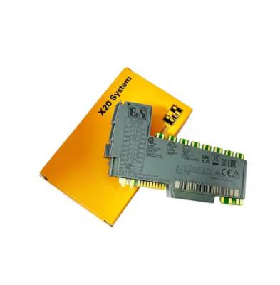 China B&R X20DOF322 Digitales Ausgangsmodul. 32-Ch IP67 Schnellschaltmodul mit PROFIBUS und 500mA/Ch. zu verkaufen