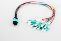 China Multimode And Single Mode Fiber MPO Harness Module Switching Fiber Optic Patch Cord for sale