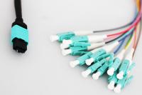 China Multimode And Single Mode Fiber MPO Harness Module Switching Fiber Optic Patch Cord for sale