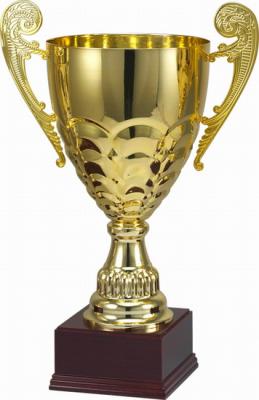 China Sports awards trophys  AW-982 for sale