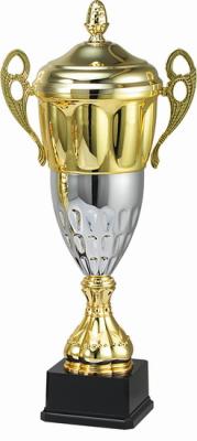 China Sports awards trophies AW-418L for sale