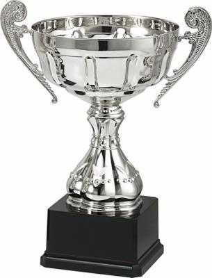 China METAL trophy AW-465 for sale