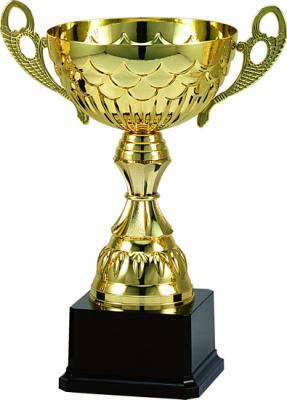 China School Award trophies AW-316 for sale