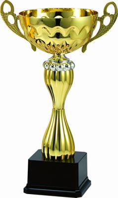 China Party Awards trophies AW-368G for sale