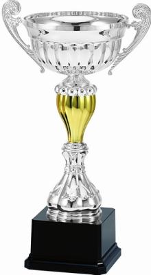 China METAL trophy AW-352S for sale