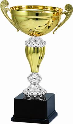 China Party Awards trophies AW-327G for sale