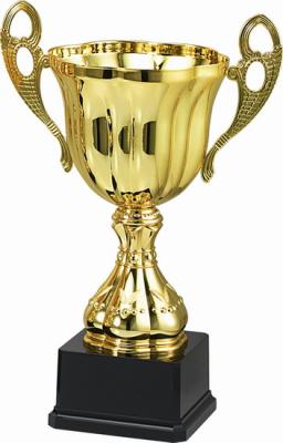 China METAL trophy AW-430 for sale
