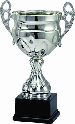 China METAL trophy AW-309 for sale