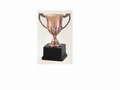 China Metal trophies--Zinc alloy cups EC-82 for sale