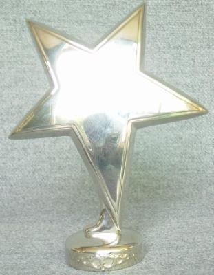 China trophies Decoration--Star for sale