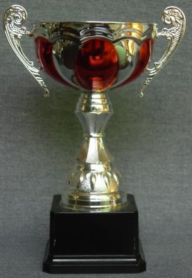 China secondary colour trophy AW-613 for sale