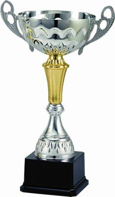 China Party Awards trophies AW-381S for sale