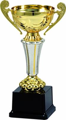 China Gifts trophies AW-302G for sale