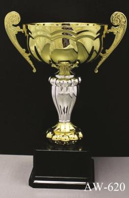 China Gifts trophies AW-620 for sale