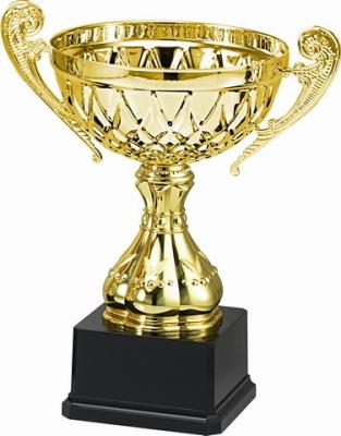 China School Award trophies AW-480 for sale