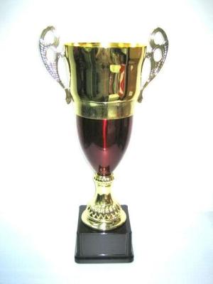 China secondary colour trophy AW-3383 for sale