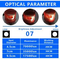 China Burite Neck-mounted headlights for sale