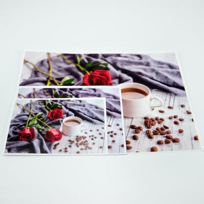 China Wit Met een laag bedekt de Fotodocument van 230gsm A4 Hars Te koop