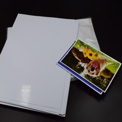Cina La pasta di cellulosa A4 235gsm ha fuso la carta rivestita della foto in vendita