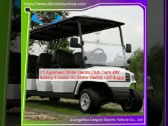 OEM пляжная шина батарея электрическая дорога законная гольф-коляска для 8 мест взрослые