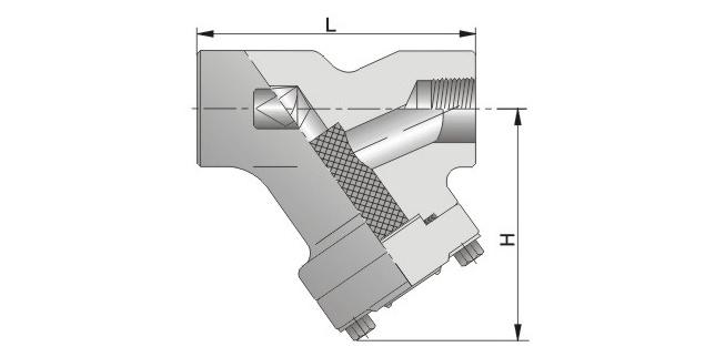Forged Y Type Strainer Dimensions Drawing 800LB