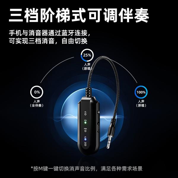 Quality T300Accompaniment Wizard (can remove vocals from the original song) for sale