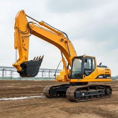 중국 200KW 스틸 포착  XE500EM 수압 크롤러 발굴기 판매용