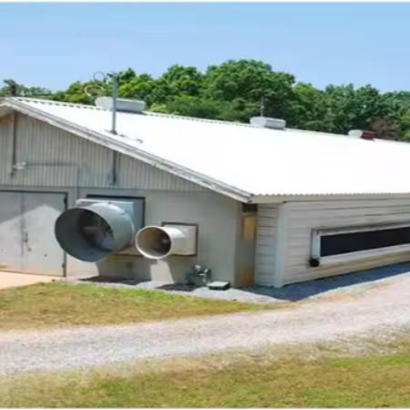Quality Easy Assembly Steel Structure Chicken House Customized For Poultry Farm Building for sale