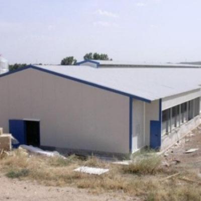 China Easy Assembly Steel Structure Chicken House Customized For Poultry Farm Building for sale