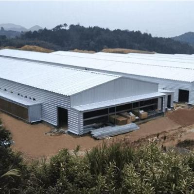 China Easy Assembly Steel Structure Chicken House Customized For Poultry Farm Building for sale