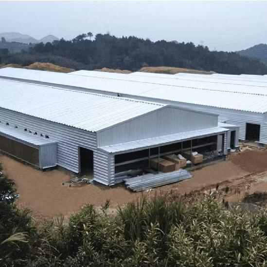 Quality Easy Assembly Steel Structure Chicken House Customized For Poultry Farm Building for sale