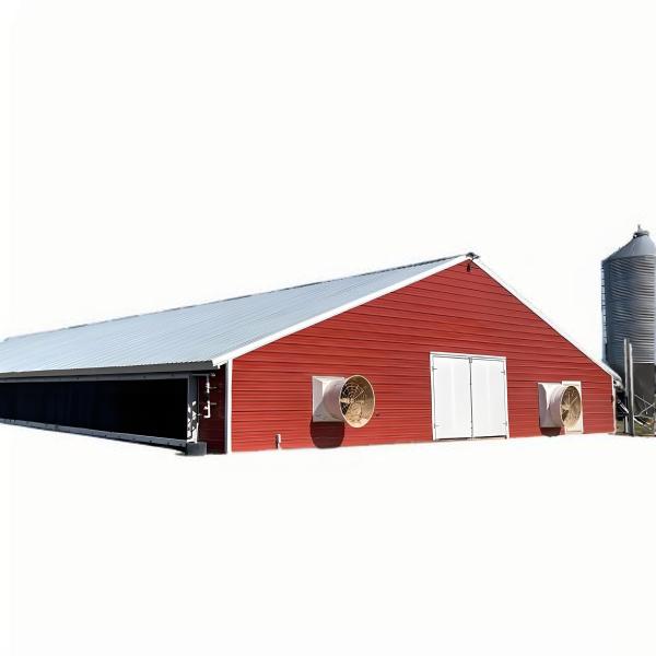 Quality Modern Steel Chicken Farm Building , Light Steel Structure Poultry House for sale