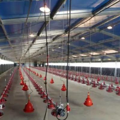 Cina Sicurezza Cucine a telaio di acciaio leggero su misura per l'allevamento di pollame in vendita