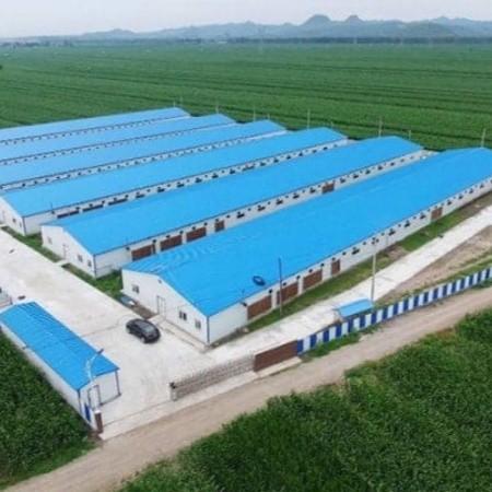 Quality Economical Light Steel House Construction Customized Steel Structure Shed for sale