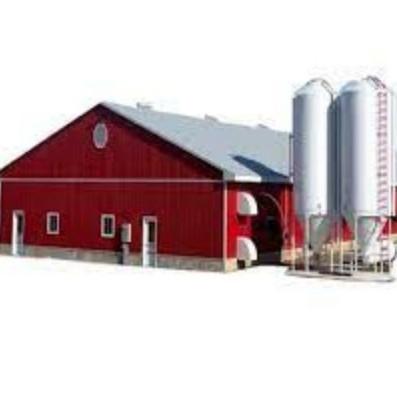 China Economical Light Steel House Construction Customized Steel Structure Shed Factory for sale