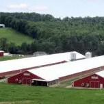 Quality Economical Light Steel House Construction Customized Steel Structure Shed for sale