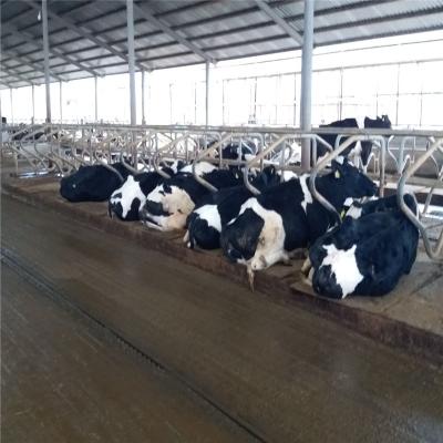 China Lanjing Prefabricated Steel Structure Farm House , Modern Metal Livestock Shelters for sale