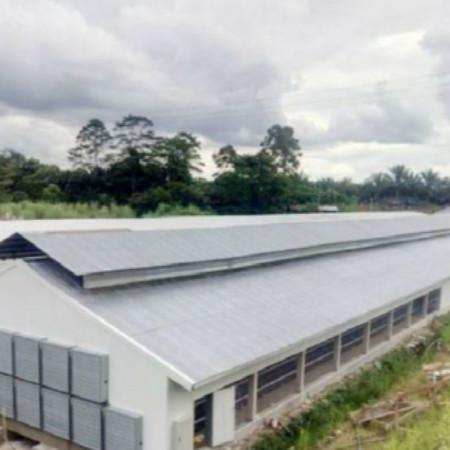 Quality Lightweight Steel Frame House , Chicken Farm Structure Customized for sale