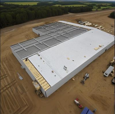 China Industrial Prefabricated Steel Frame Building Factory For Poultry Feed Processing / Storage for sale
