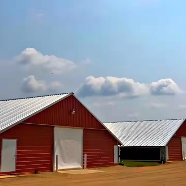 Quality Industrial Steel Structure Shed , Light Frame Steel Houses Easy Installation for sale